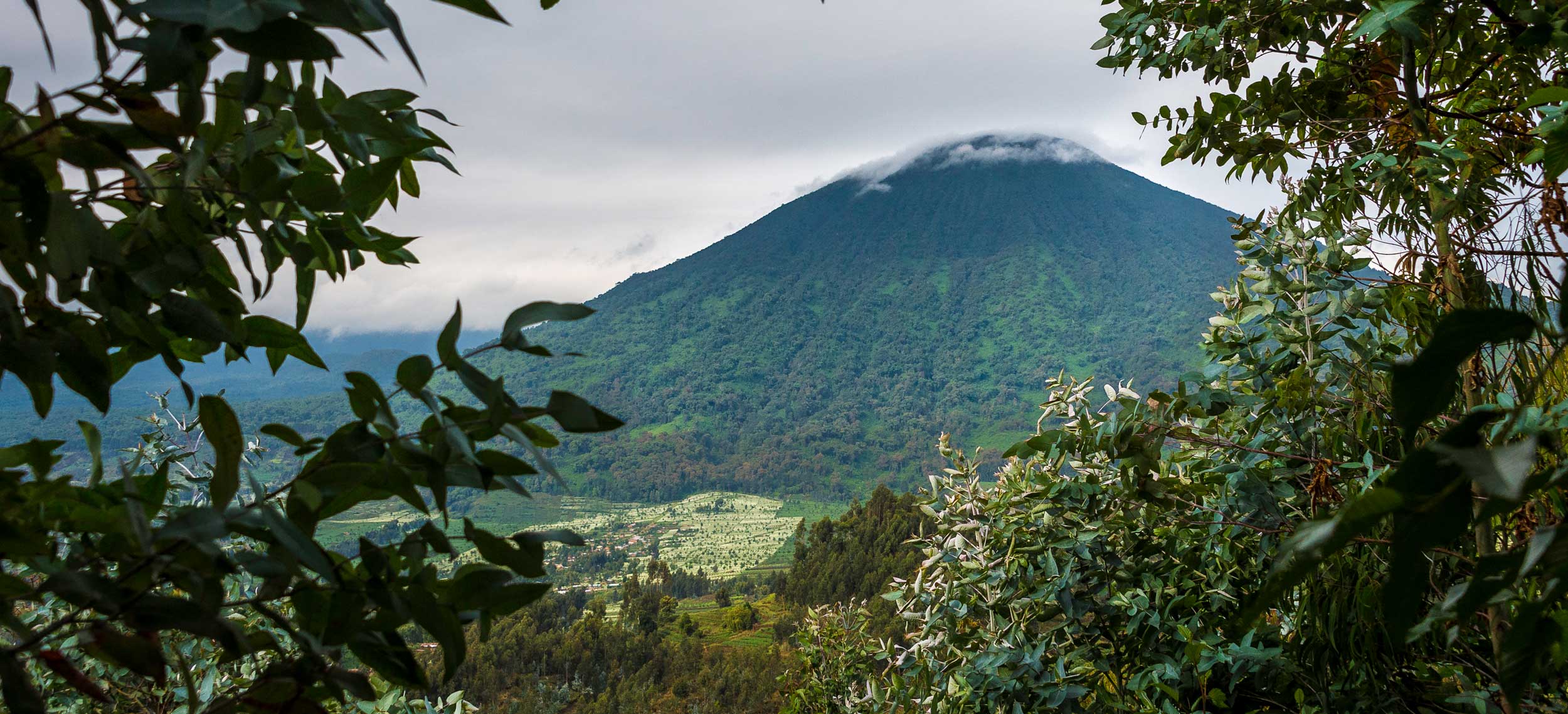 Volcanoes National Park (Rwanda) – Travel Beyond