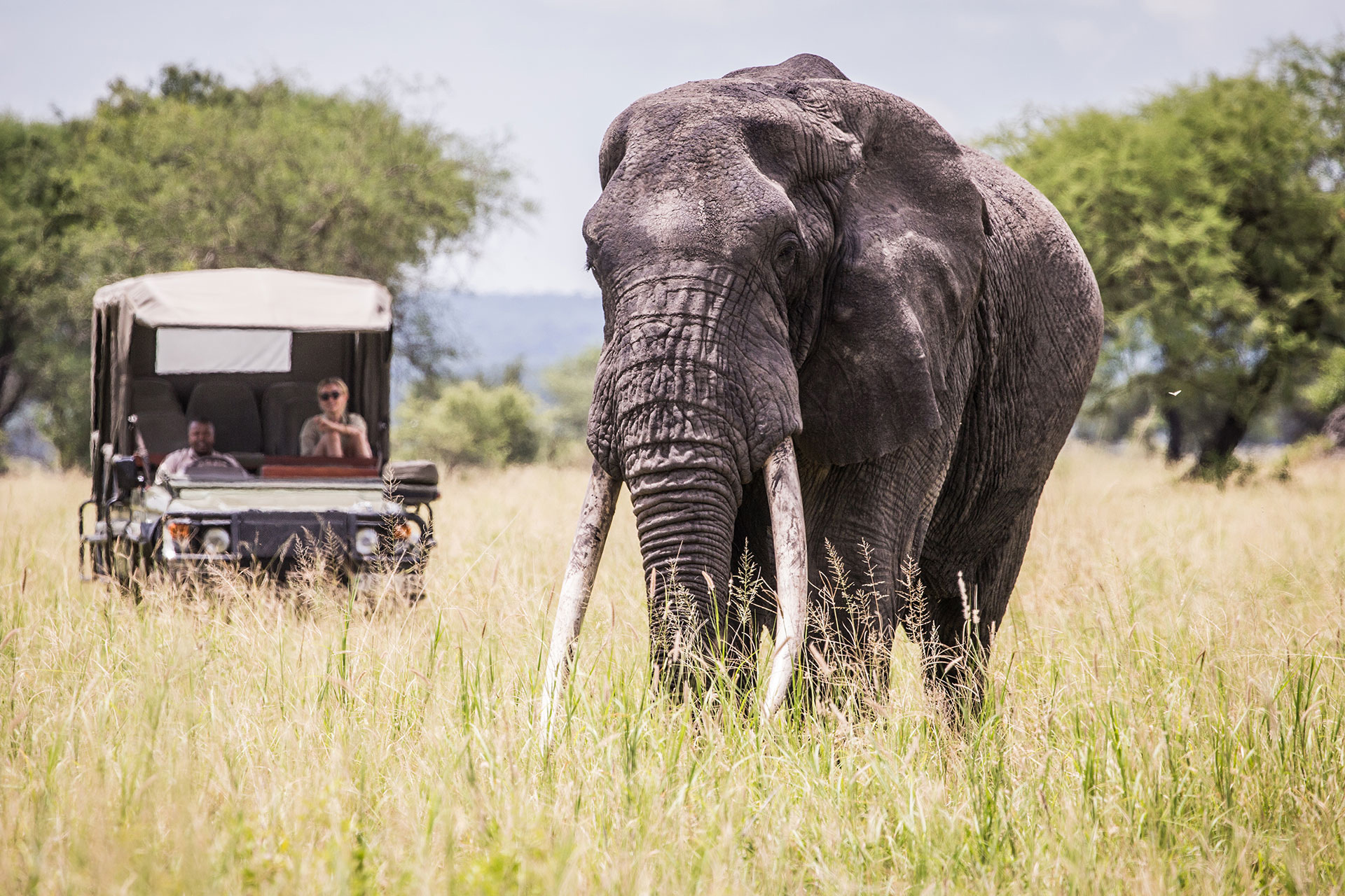 Chem Chem Lodge (Lake Manyara, Tanzania) – Travel Beyond